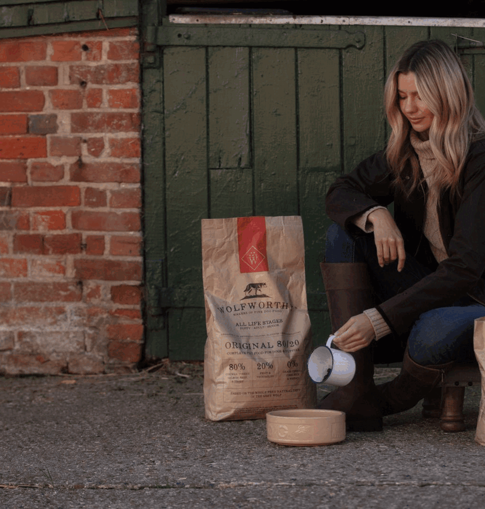 From Picky Eater to Clean Bowl: How to Restore Appetite Safely – wolfworthy